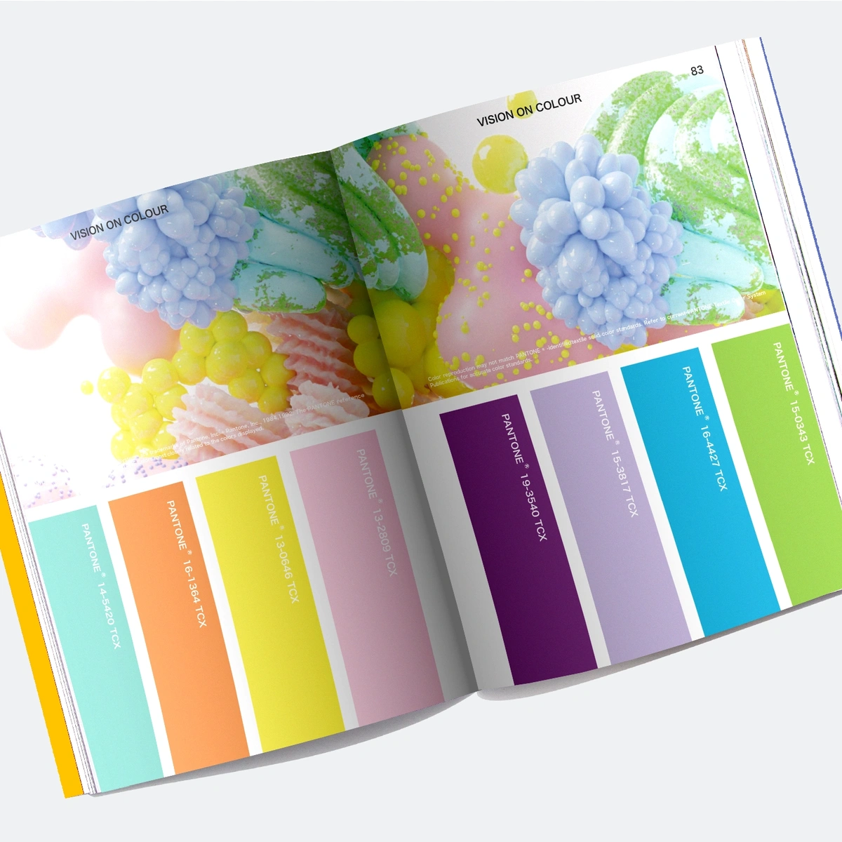 VIEWPOINT Color Issue 13 - Transformation – Seaga